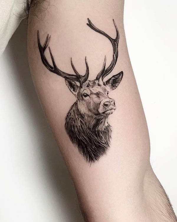 Realistic Deer Head Tattoos News ⋆ Page 57 Of 281 ⋆ Studio XIII