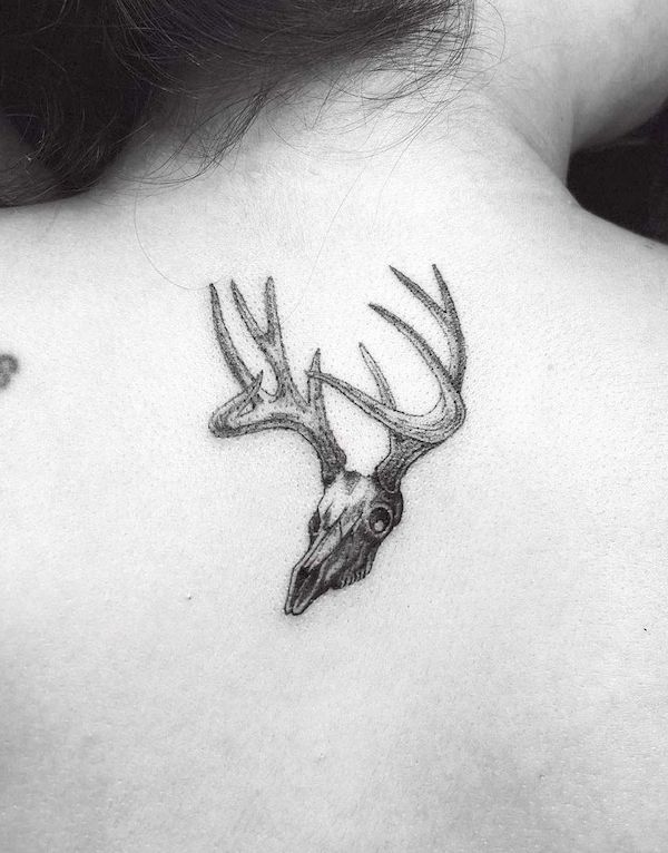 Deer Skull Tattoos For Girls