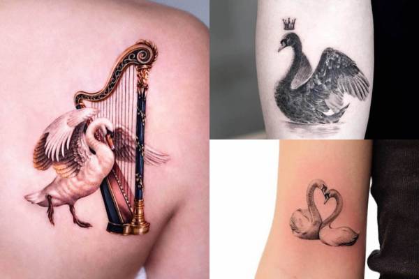 51 Beautiful Swan Tattoos With Meaning - Our Mindful Life