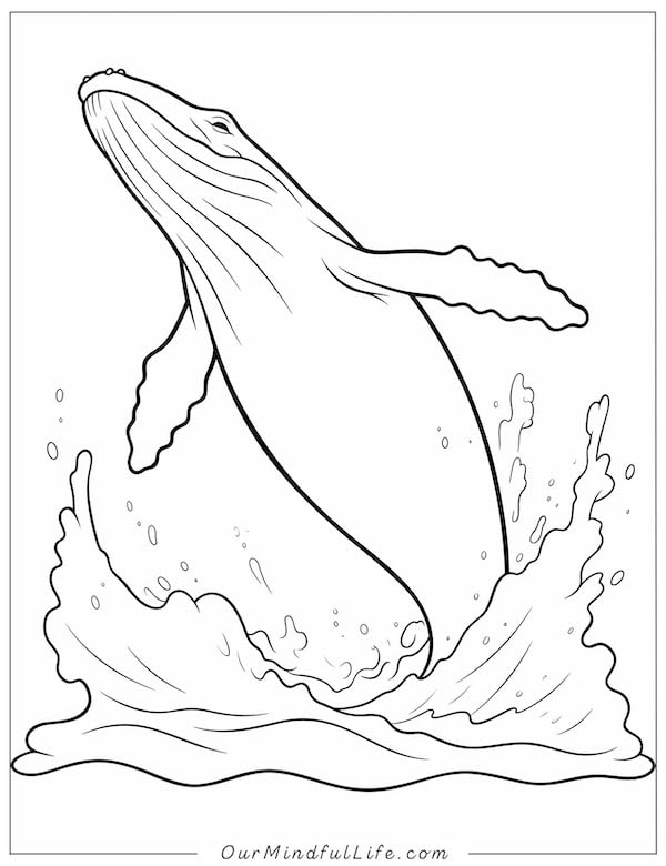 42 Magnificent Whale Coloring Pages [Free Printables] - Our Mindful Life