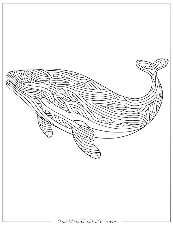 42 Magnificent Whale Coloring Pages [Free Printables] - Our Mindful Life